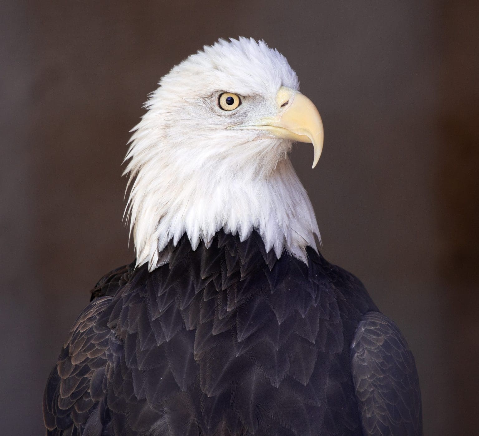 Zoo & Conservation in Scottsbluff, NE | Riverside Discovery Center