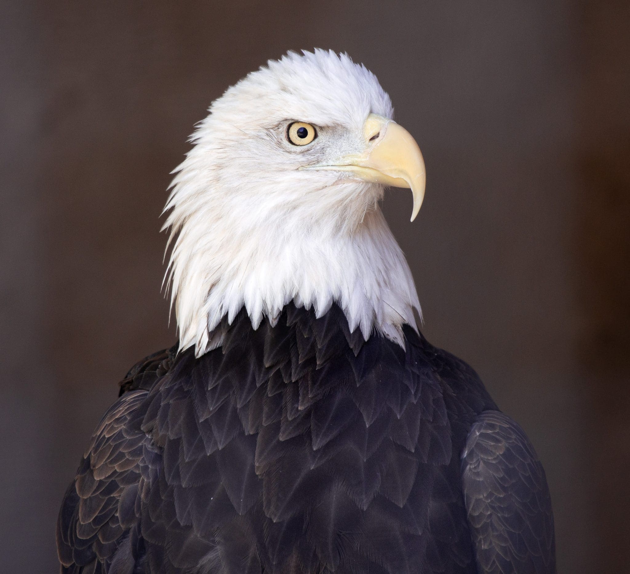 Zoo & Conservation in Scottsbluff, NE | Riverside Discovery Center