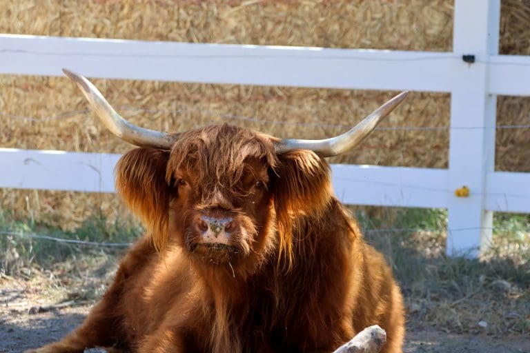 Zoo & Conservation in Scottsbluff, NE | Riverside Discovery Center