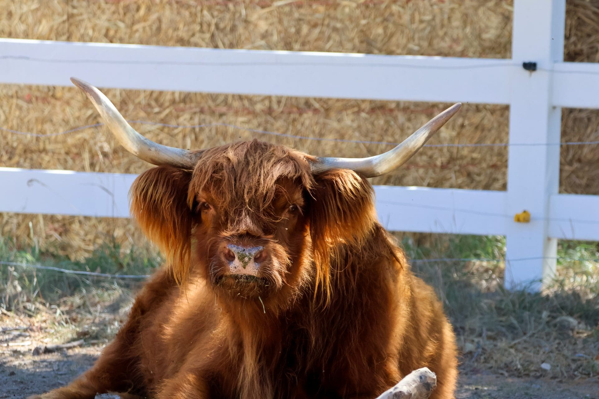 Zoo & Conservation in Scottsbluff, NE | Riverside Discovery Center
