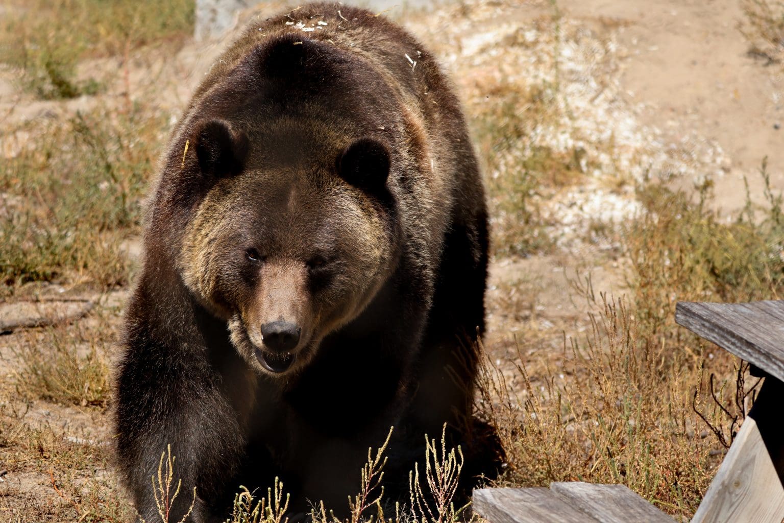 Zoo & Conservation in Scottsbluff, NE | Riverside Discovery Center