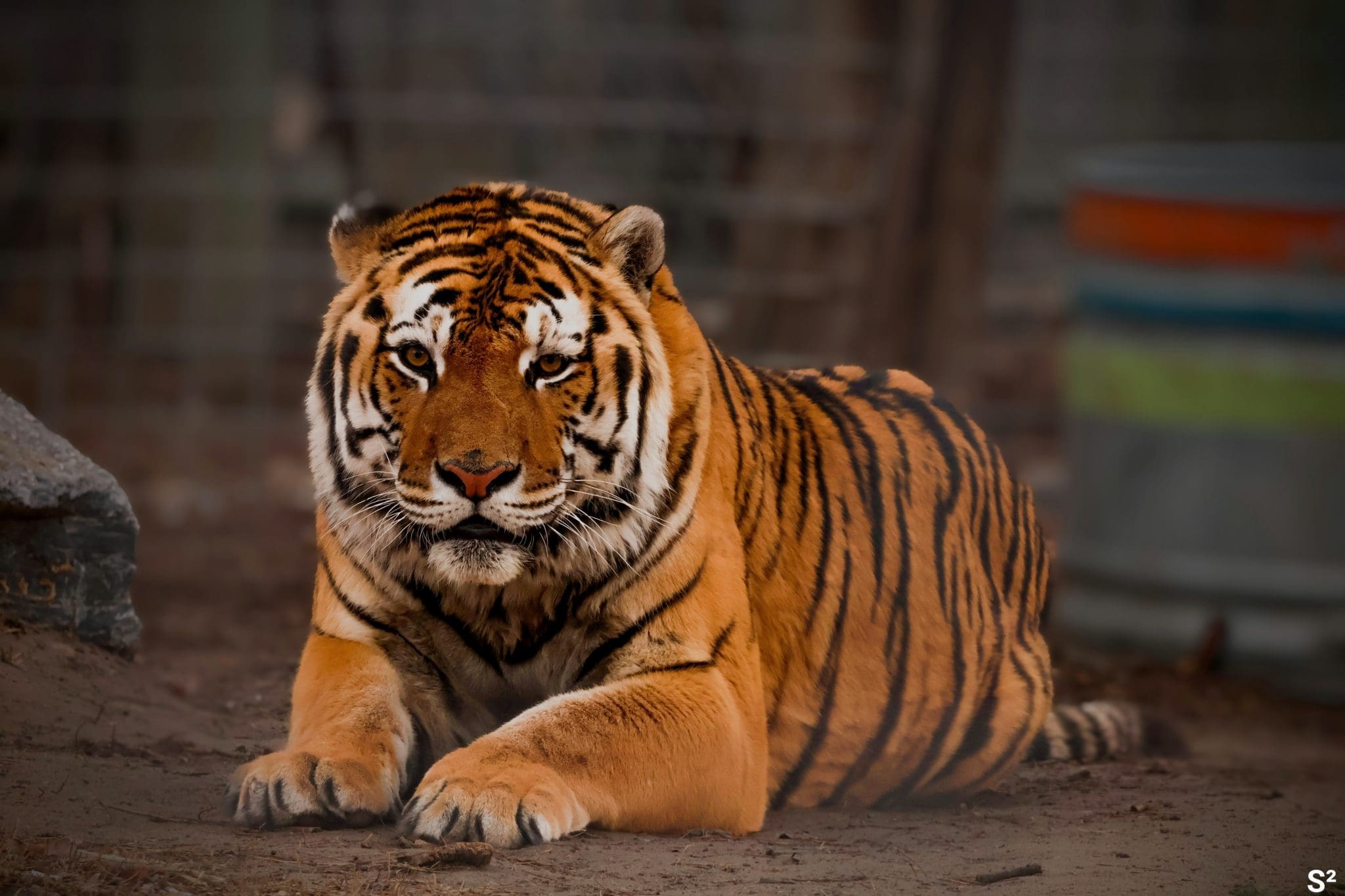 Zoo & Conservation in Scottsbluff, NE | Riverside Discovery Center