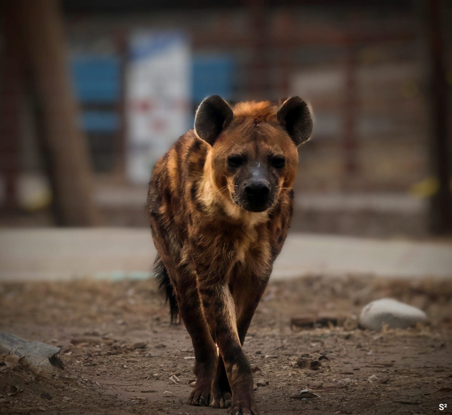Zoo & Conservation in Scottsbluff, NE | Riverside Discovery Center