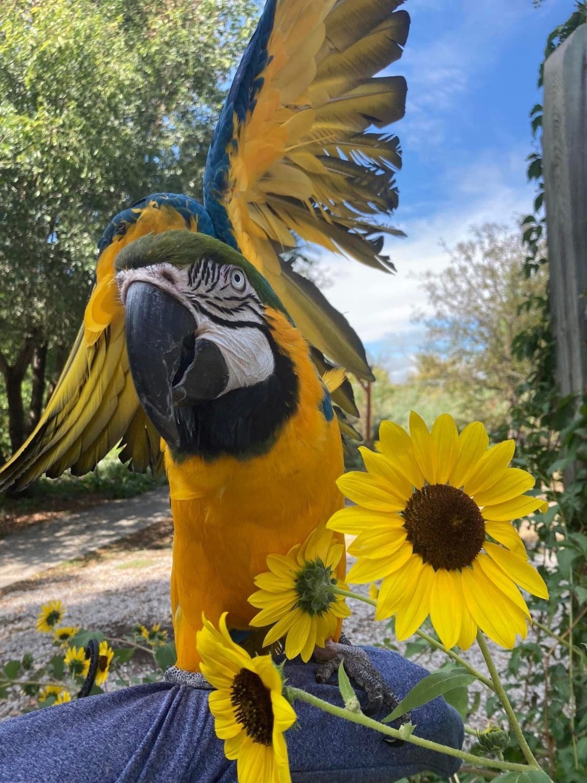 Zoo & Conservation in Scottsbluff, NE | Riverside Discovery Center