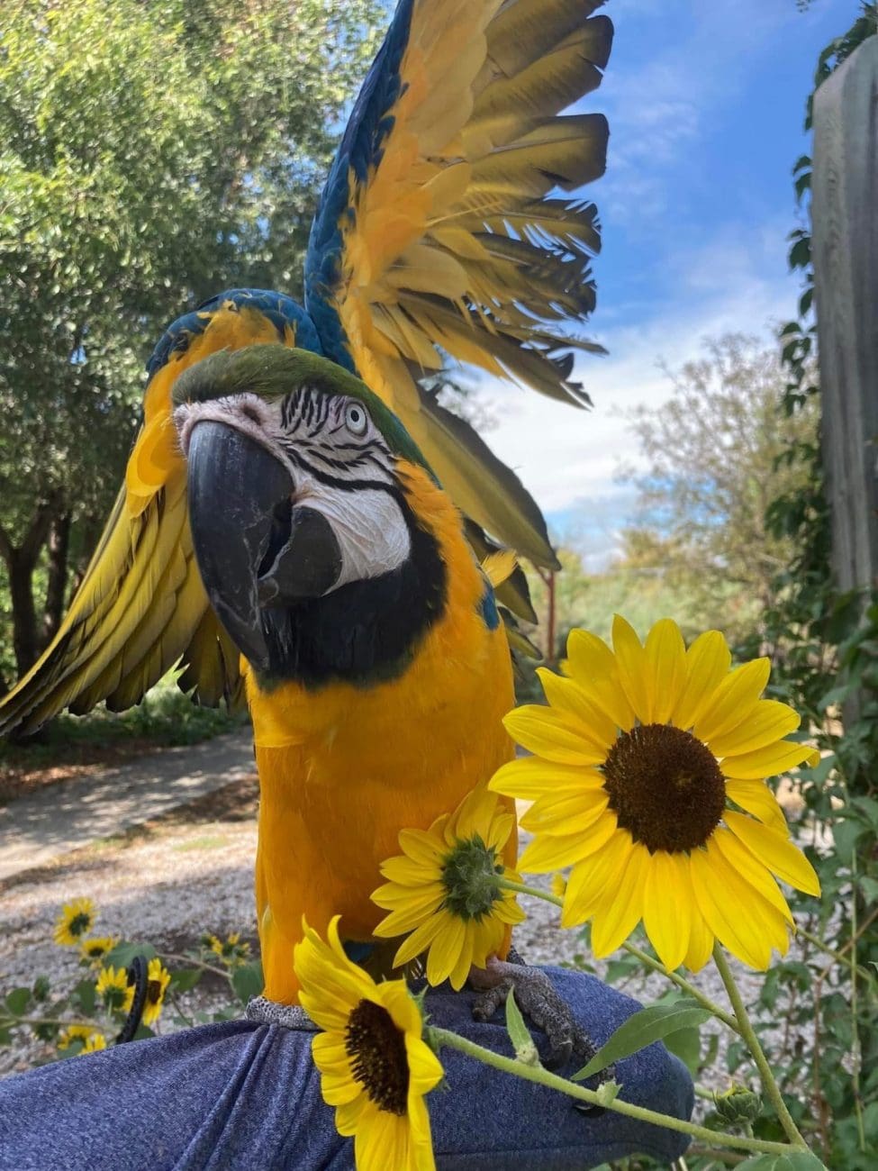 Zoo & Conservation in Scottsbluff, NE | Riverside Discovery Center