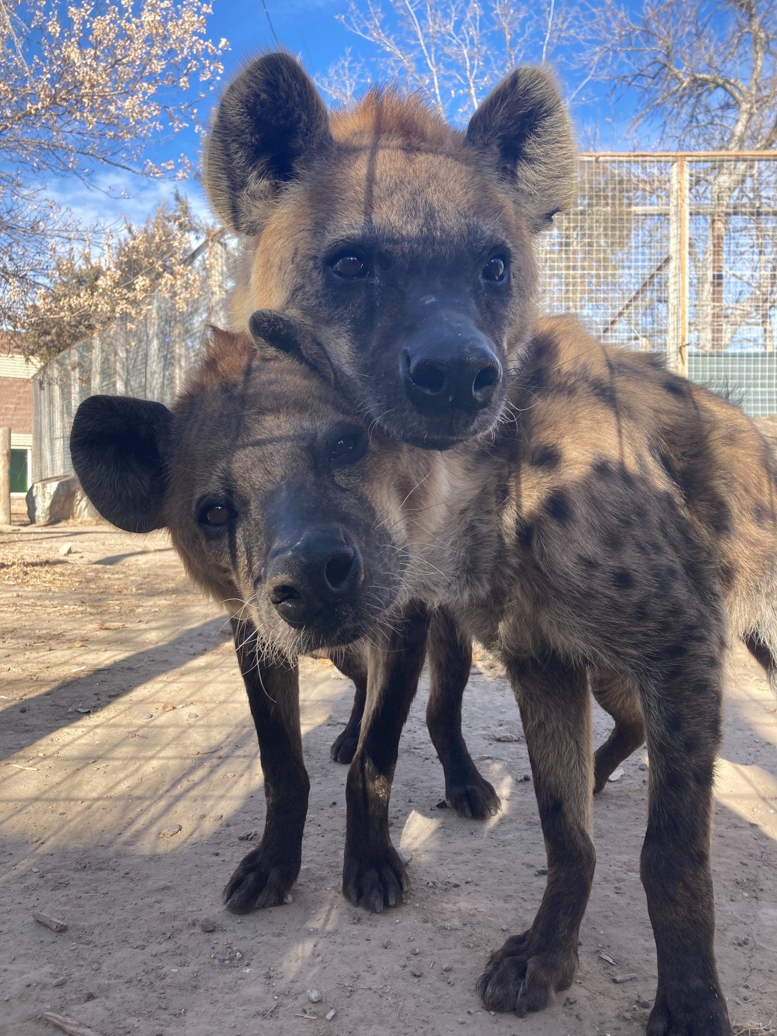 Zoo & Conservation in Scottsbluff, NE | Riverside Discovery Center