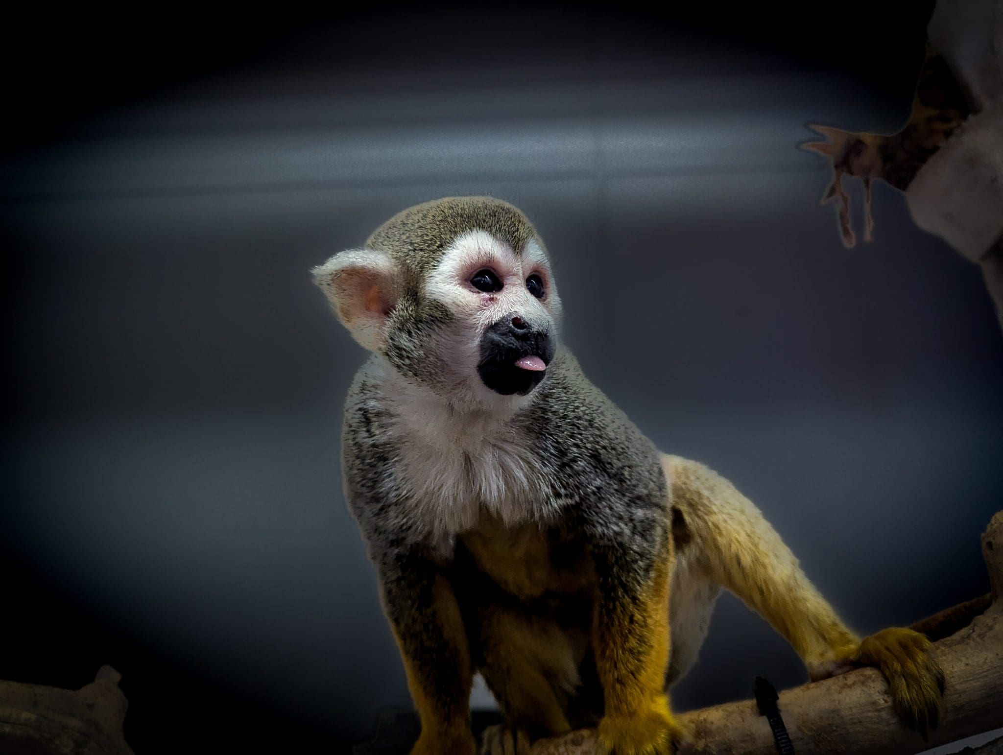 Zoo & Conservation in Scottsbluff, NE | Riverside Discovery Center